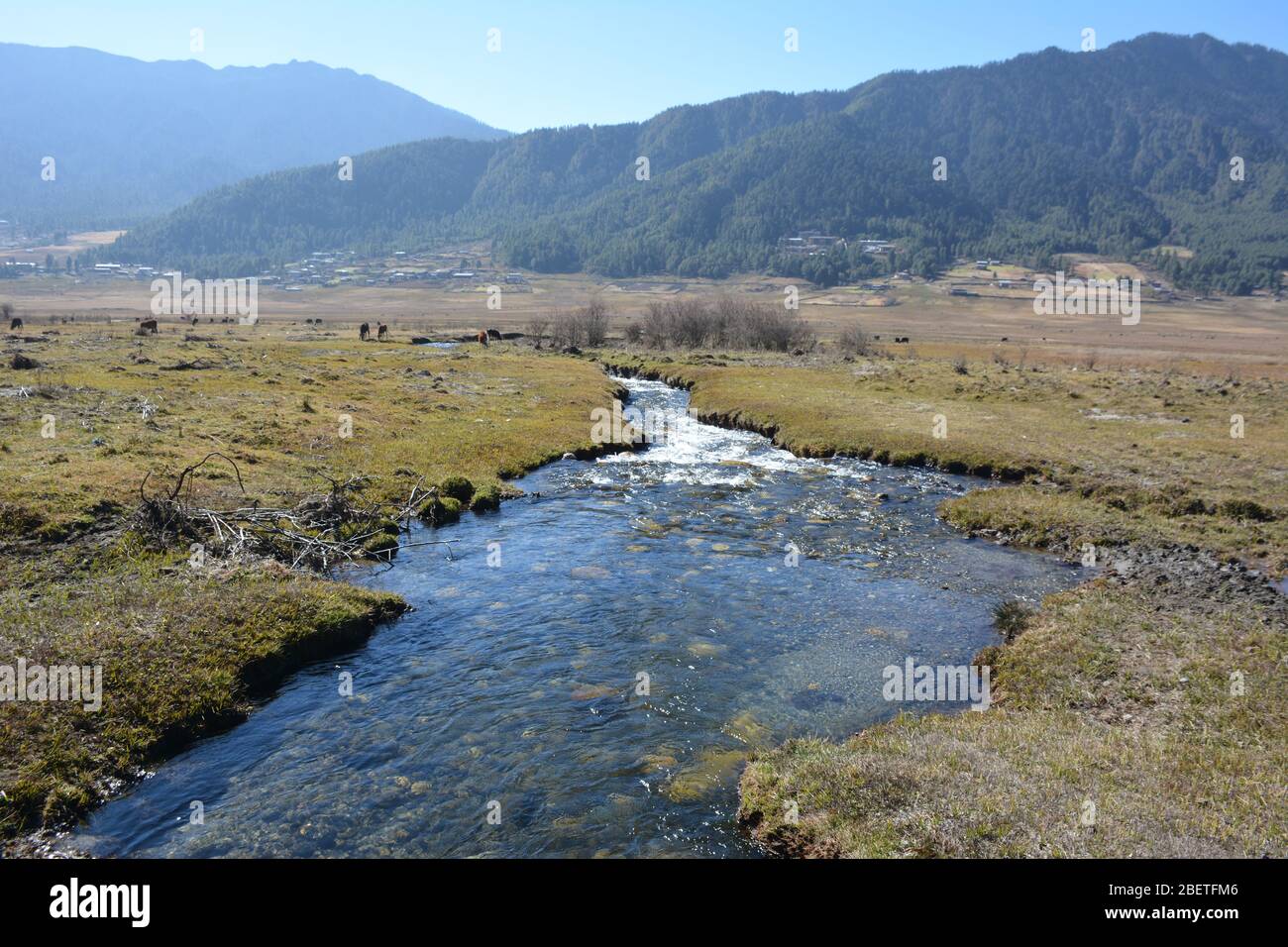The landscape of the Phobjikha Valley, Bhutan Stock Photo - Alamy