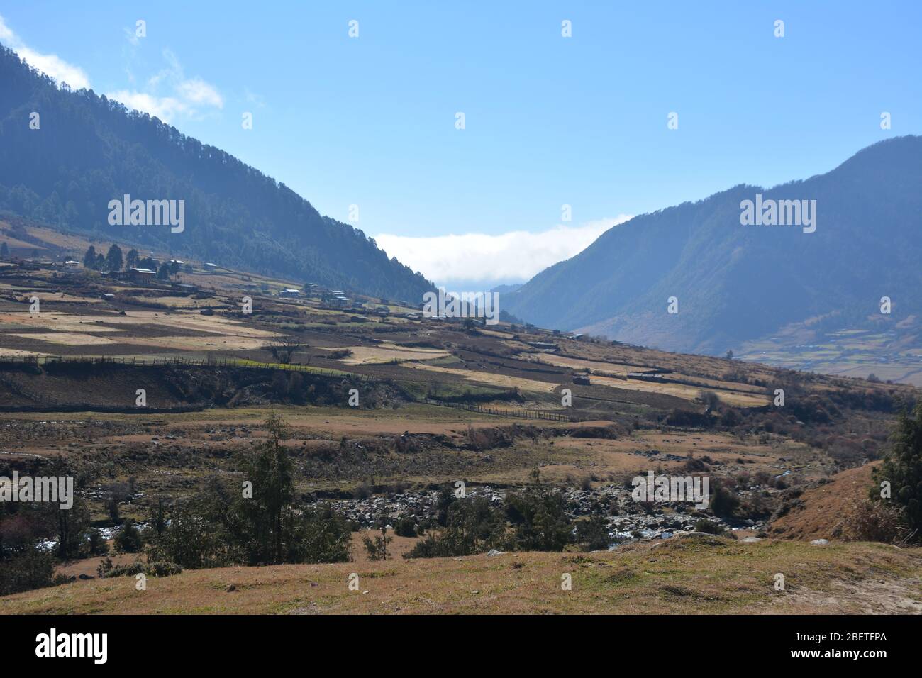 The landscape of the Phobjikha Valley, Bhutan Stock Photo - Alamy