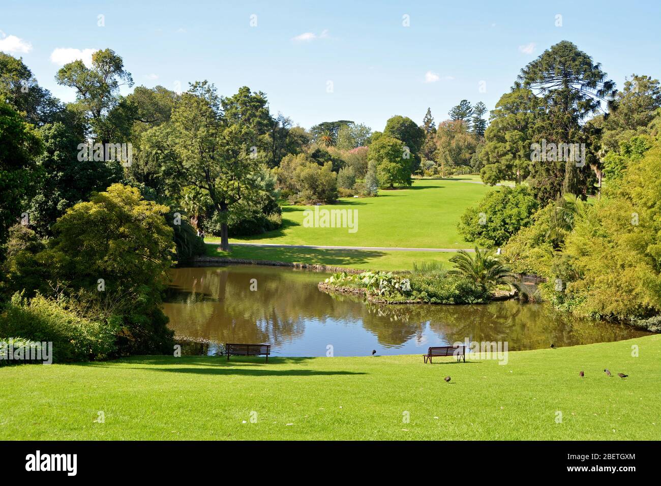 Melbourne nature hi-res stock photography and images - Alamy