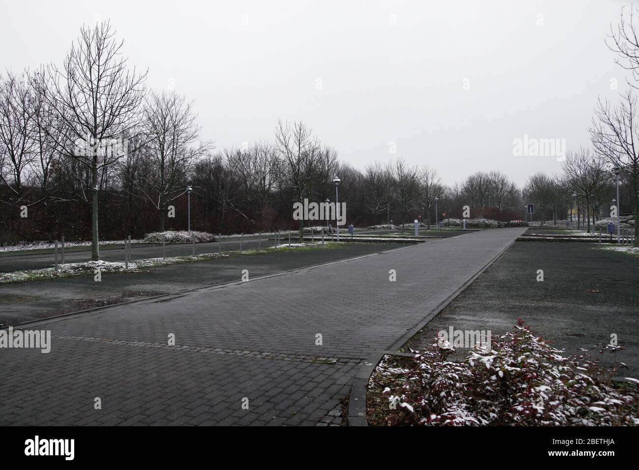Winter landscape,dull colours, chilly depressing melancholic mood ...