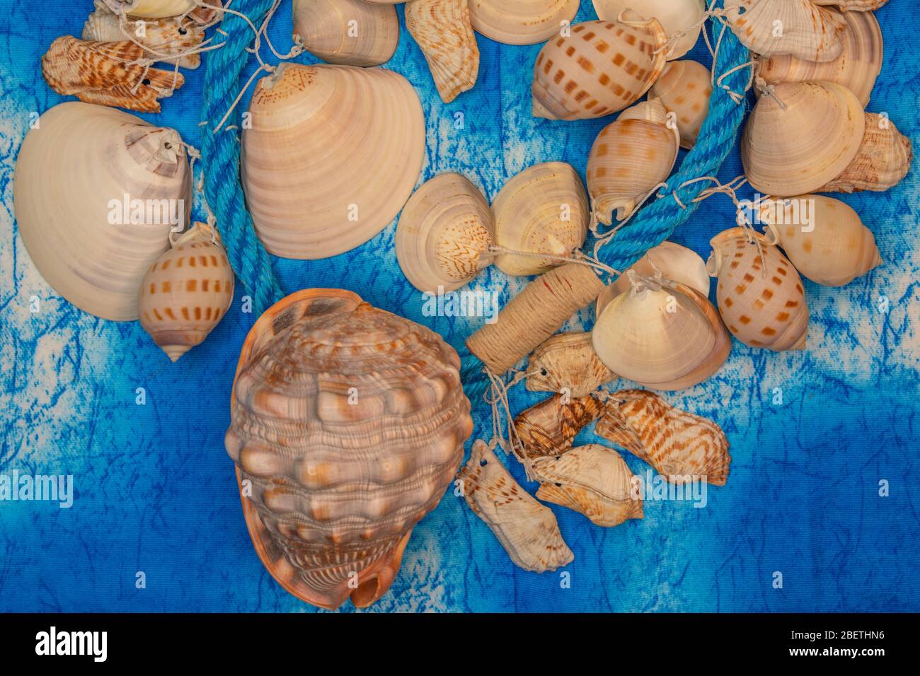 Background of blue cloth with marine shells Stock Photo - Alamy