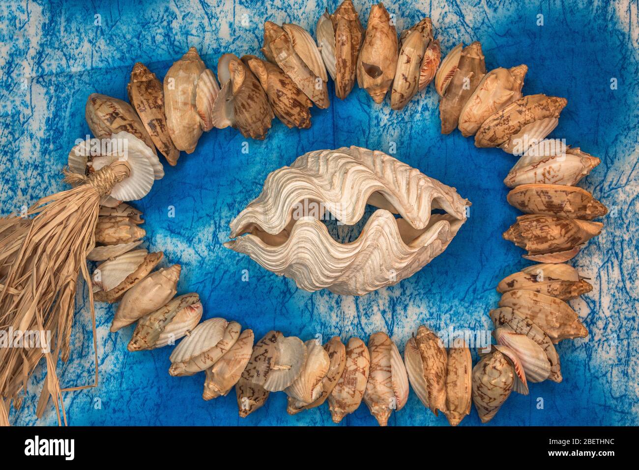 Background of blue cloth with marine shells Stock Photo - Alamy