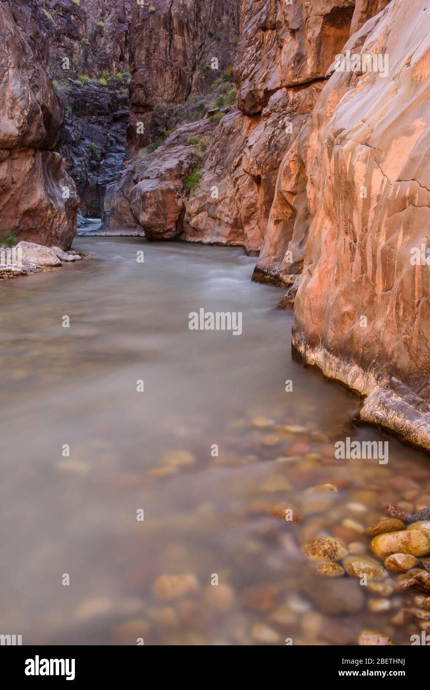 Shinumo Creek, Grand Canyon National Park, Arizona, USA Stock Photo - Alamy