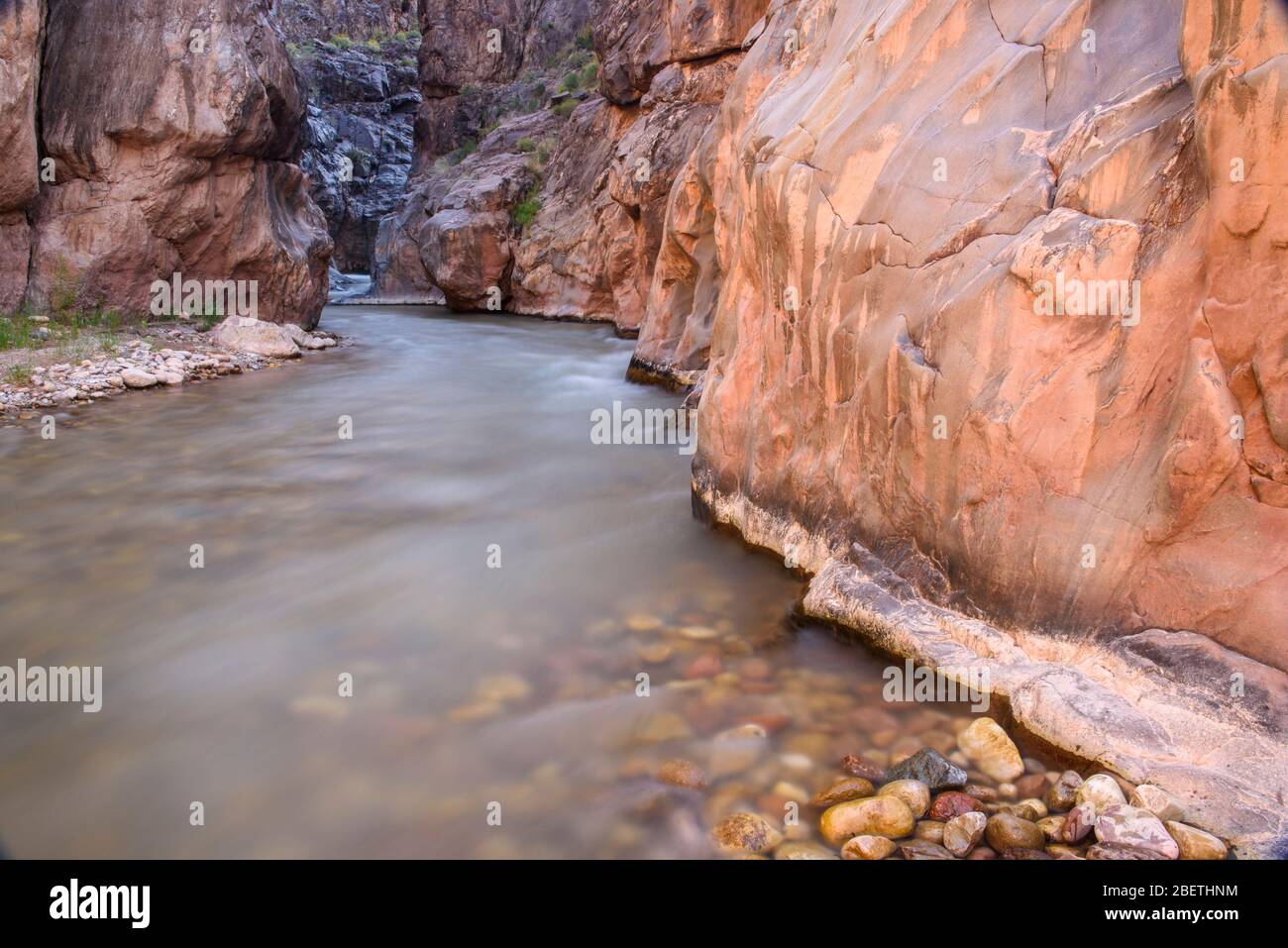 Shinumo creek hi-res stock photography and images - Alamy