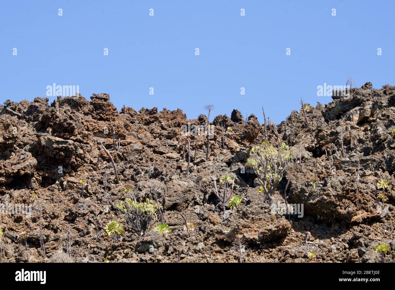 Crawl under a rock hi-res stock photography and images - Alamy