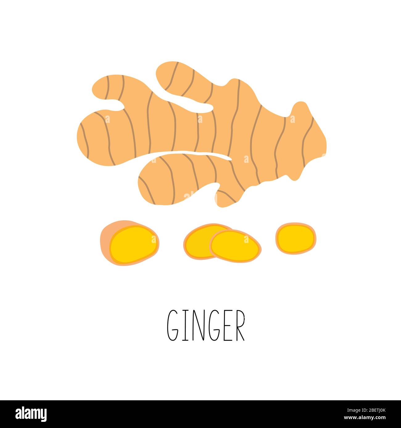 Ginger Illustration