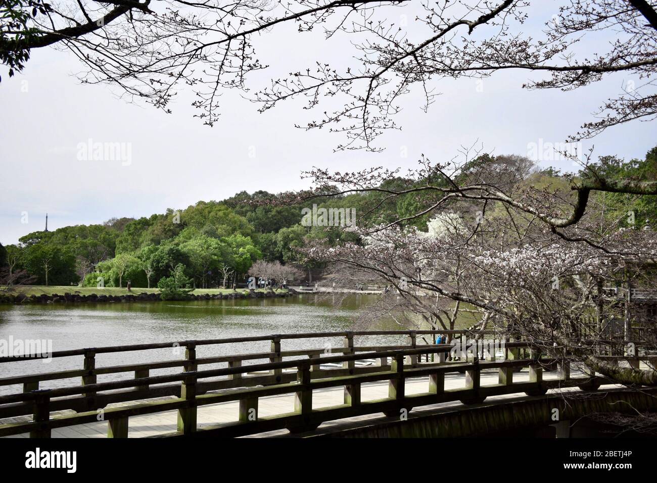 Sagi pond hi-res stock photography and images - Alamy