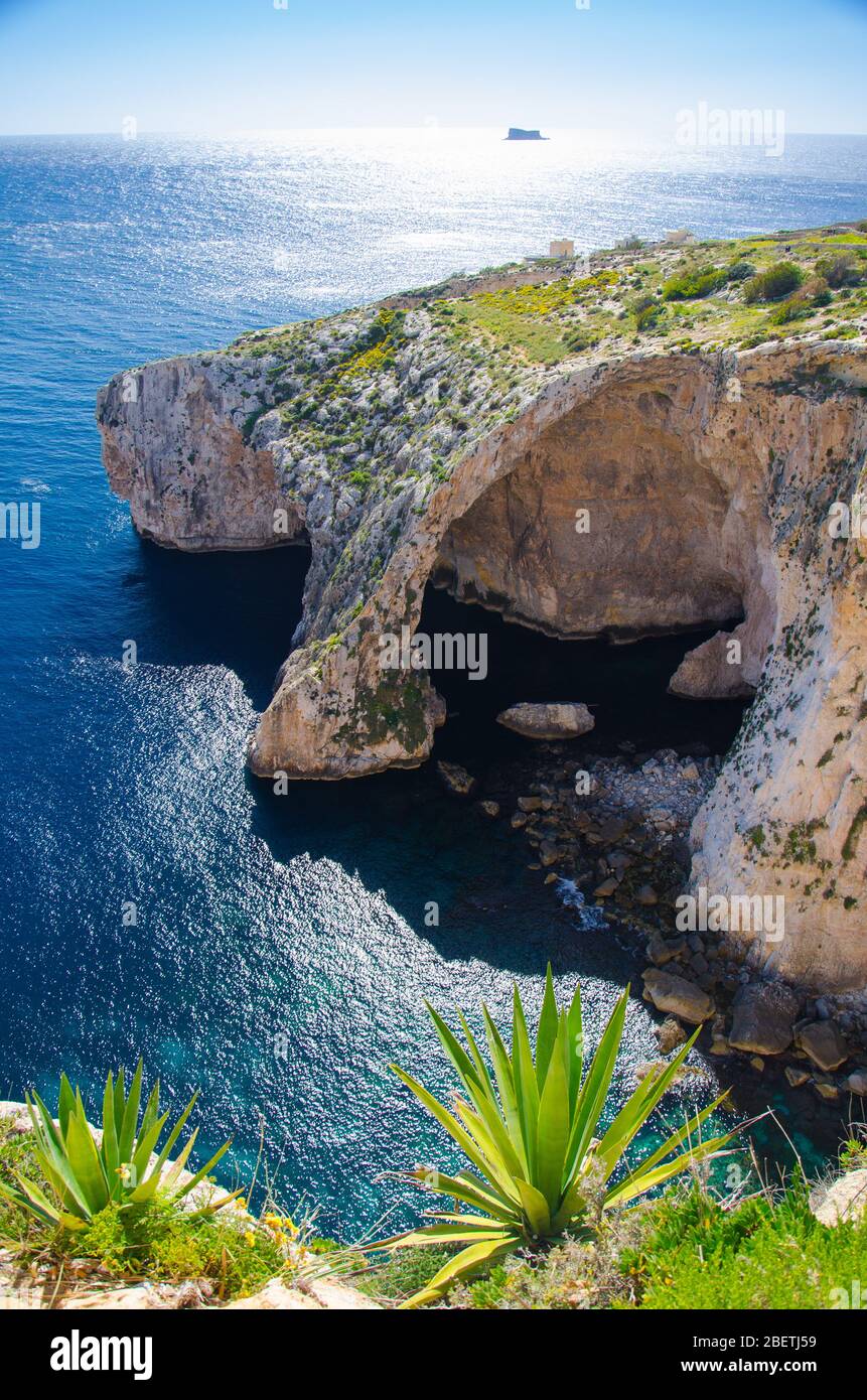 Blue grotto arch on Malta island coast, agave plant and Filfla island ...