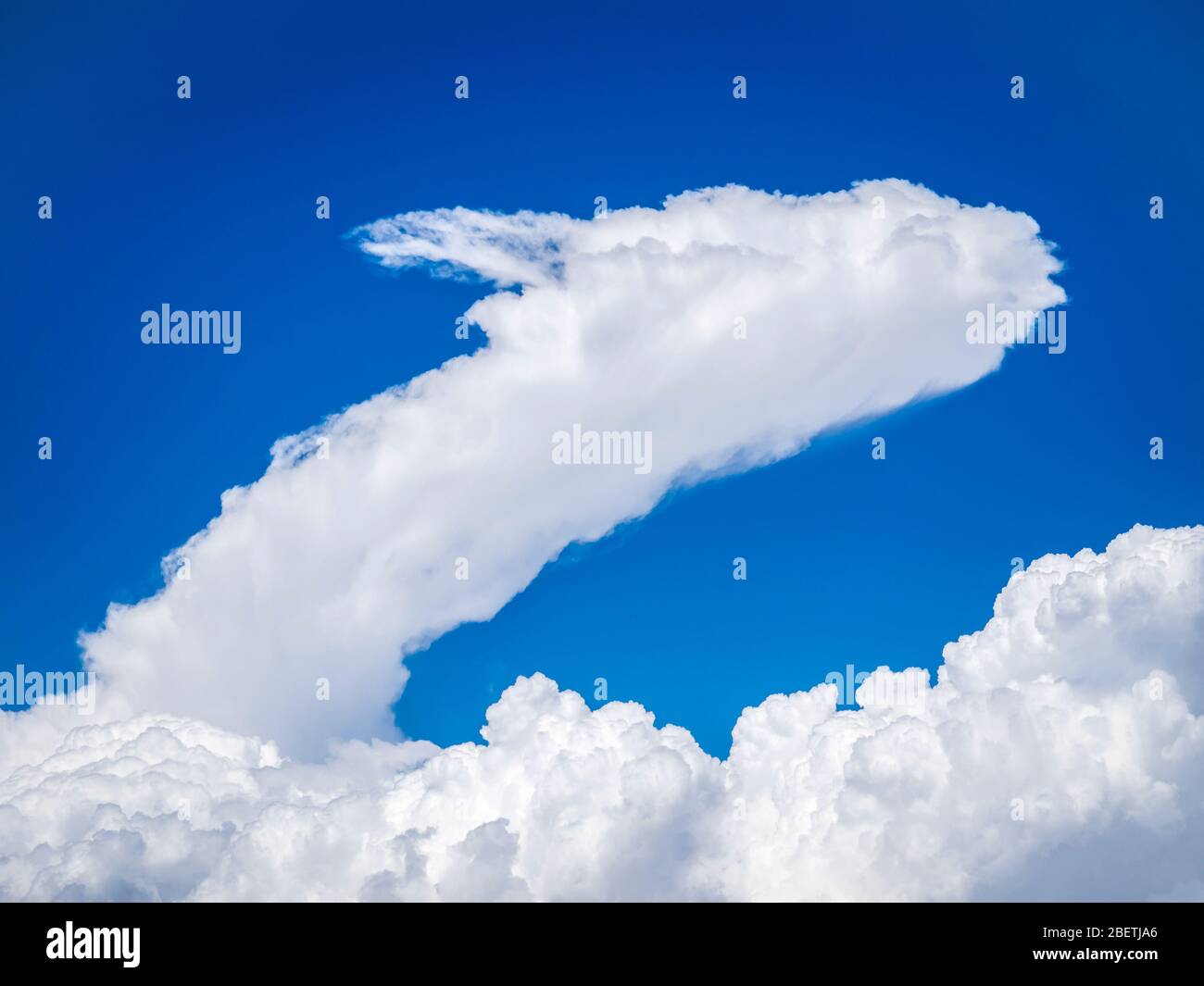 A natural white dragon shape appear over the clouds Stock Photo - Alamy
