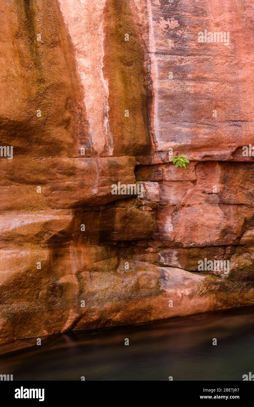 Uplift metamorphic rocks hi-res stock photography and images - Alamy