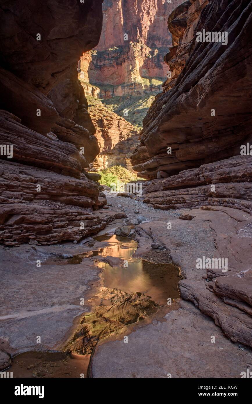 The great unconformity grand canyon hi-res stock photography and images ...