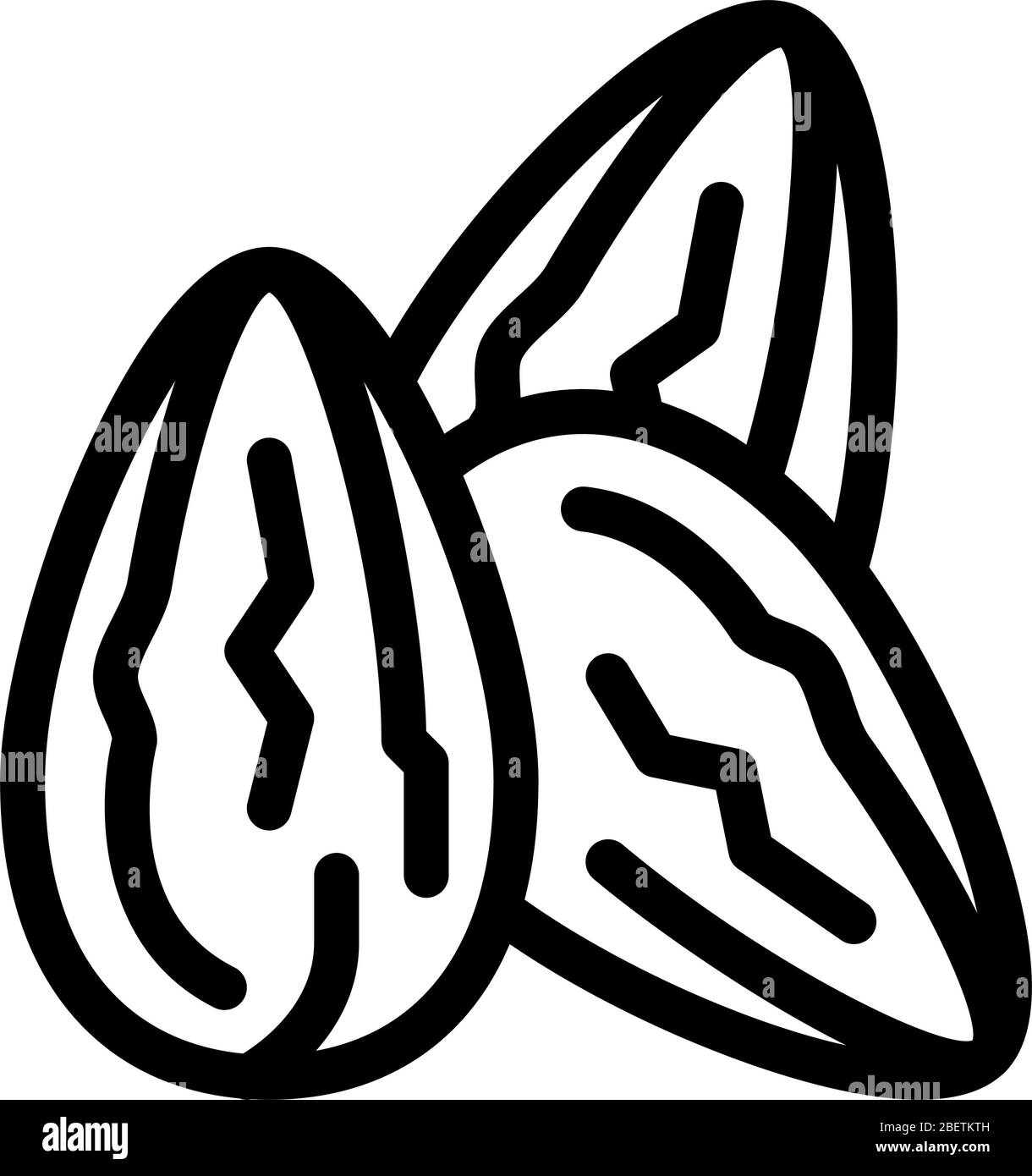cocoa beans icon vector outline illustration Stock Vector Image & Art ...