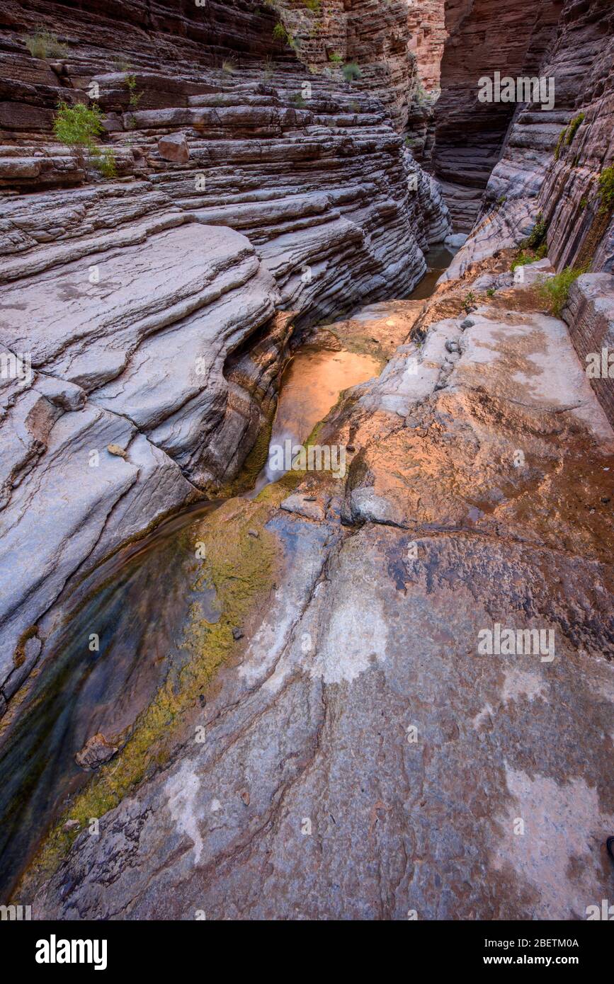 Stream polished cambrian muav limestone ledges hi-res stock photography ...