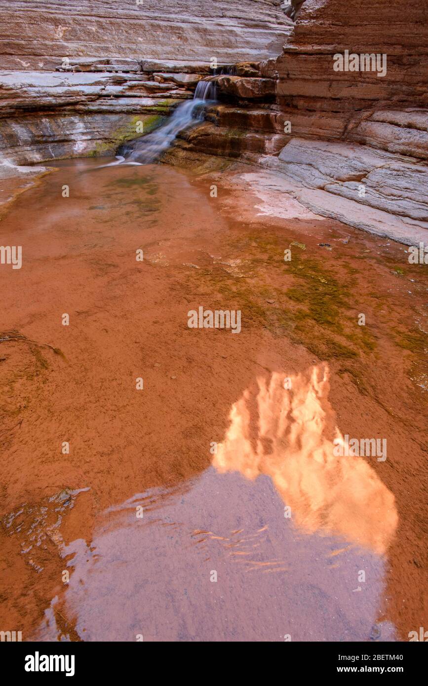 Stream-polished Cambrian Muav Limestone ledges in Matkatamiba Canyon ...