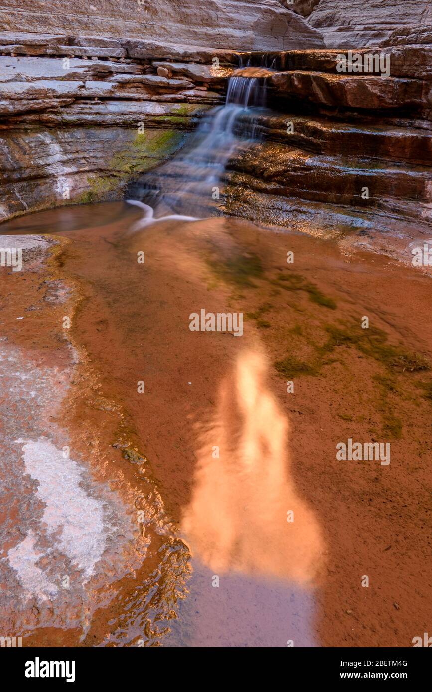 Stream-polished Cambrian Muav Limestone ledges in Matkatamiba Canyon ...
