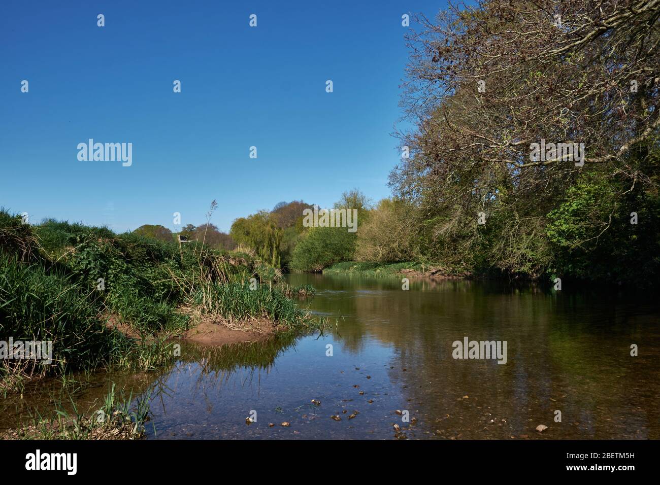 A summertime riverside scene in Devon, UK Stock Photo - Alamy