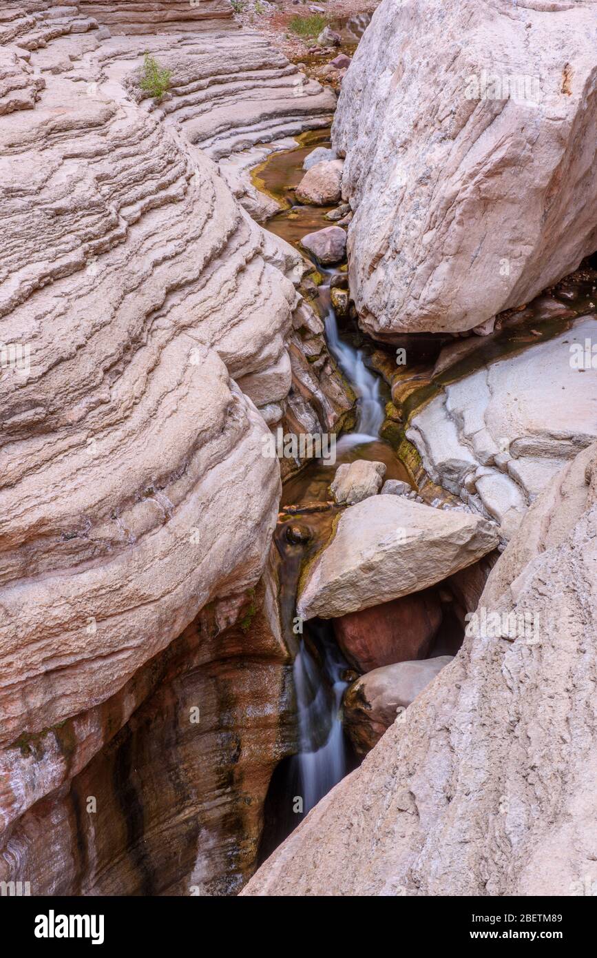 Stream-polished Cambrian Muav Limestone ledges in Matkatamiba Canyon ...