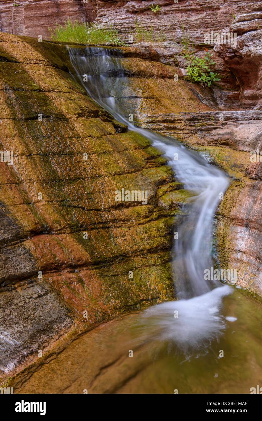 Stream-polished Cambrian Muav Limestone ledges in Matkatamiba Canyon ...