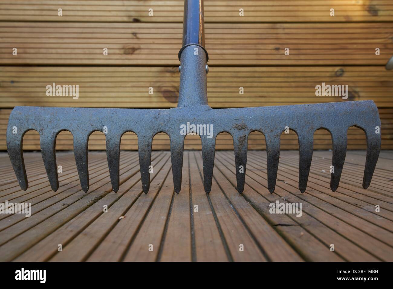 Teeth rake marks hi-res stock photography and images - Alamy