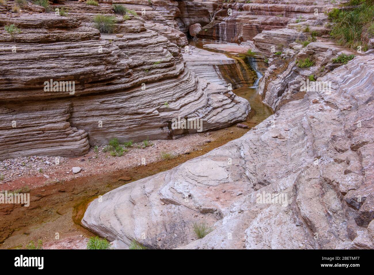 Stream-polished Cambrian Muav Limestone ledges in Matkatamiba Canyon ...