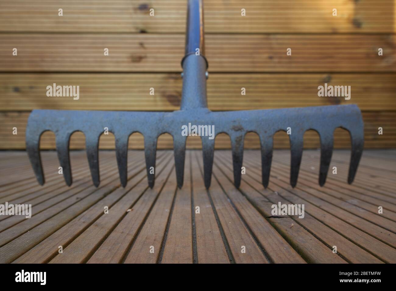 Teeth Rake Marks High Resolution Stock Photography and Images - Alamy