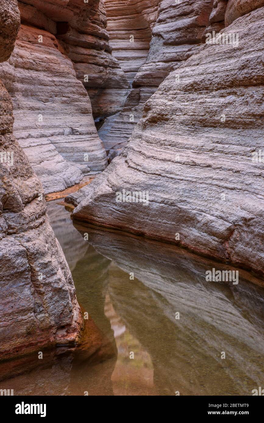 Stream-polished Cambrian Muav Limestone ledges in Matkatamiba Canyon ...