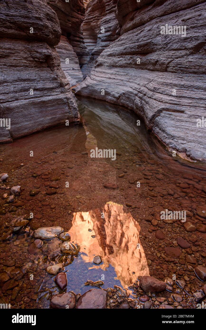 Stream-polished Cambrian Muav Limestone ledges in Matkatamiba Canyon ...