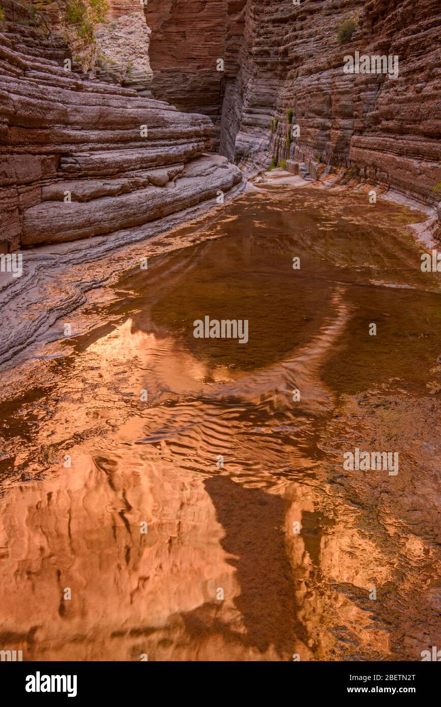 Stream-polished Cambrian Muav Limestone ledges in Matkatamiba Canyon ...