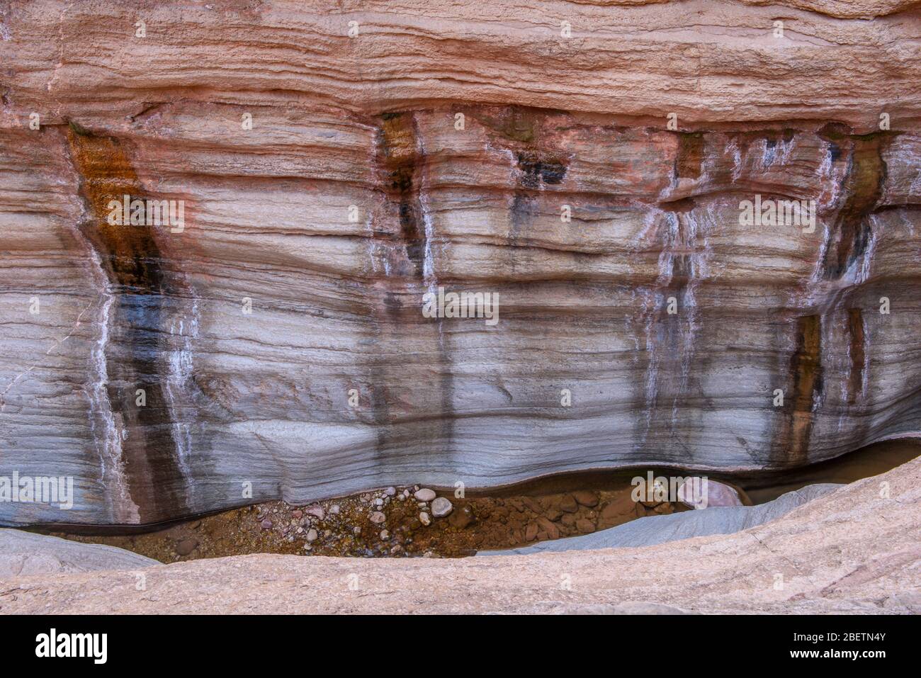 Stream polished cambrian muav limestone ledges hi-res stock photography ...