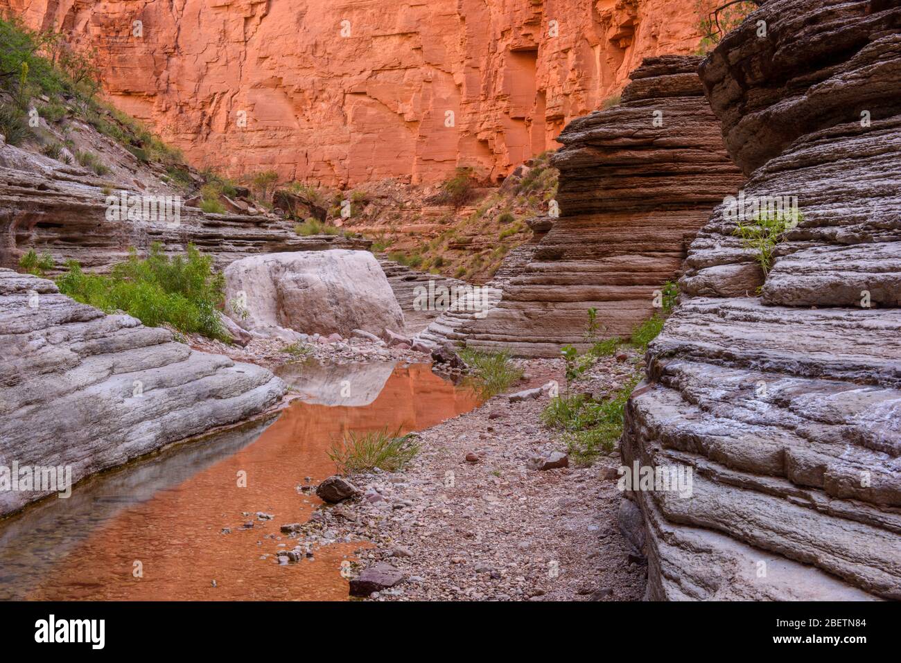 Muav limestone hi-res stock photography and images - Alamy
