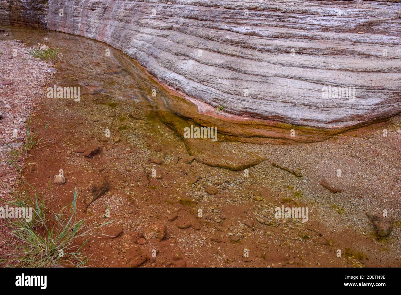 Stream-polished Cambrian Muav Limestone ledges in Matkatamiba Canyon ...