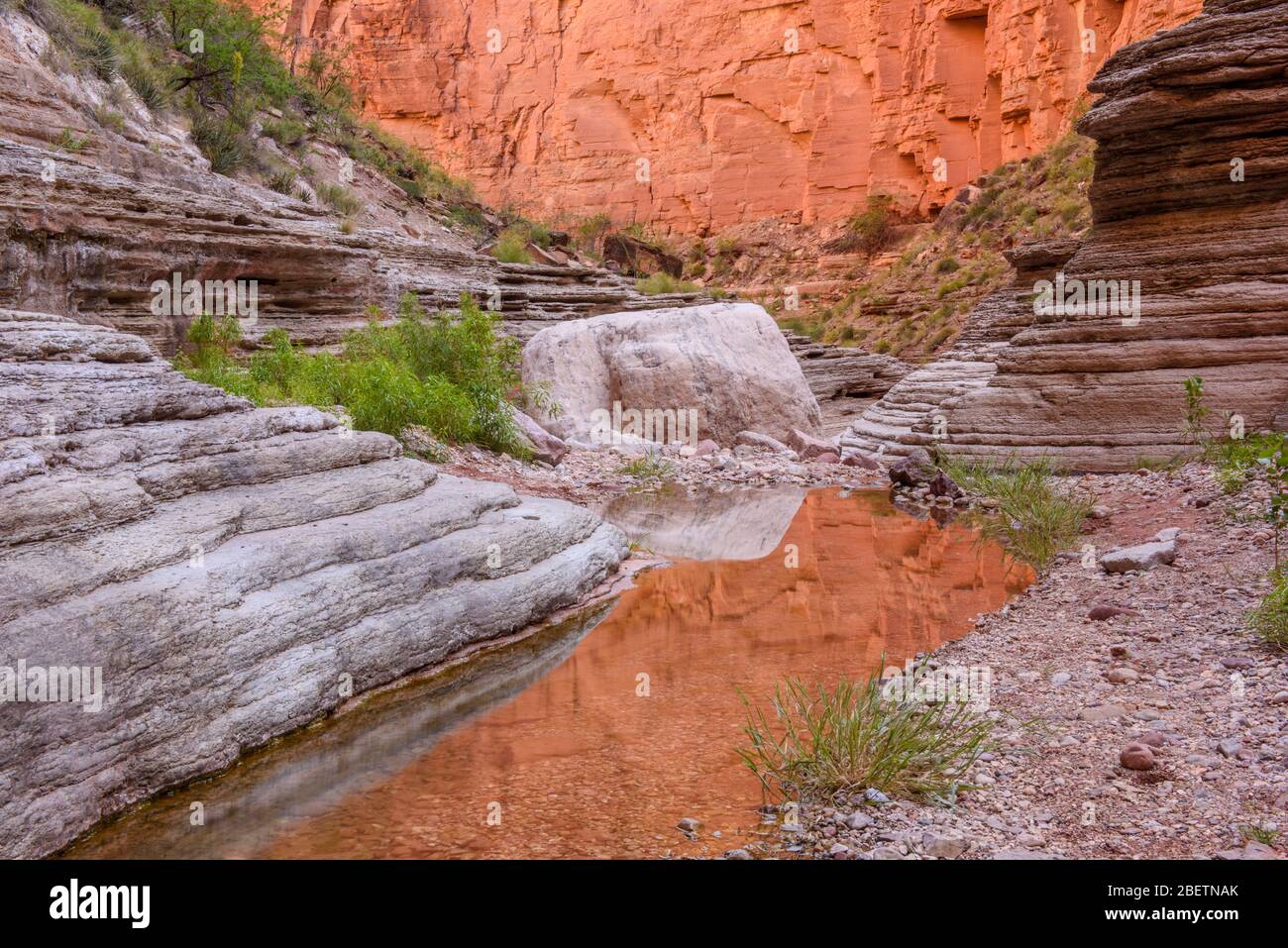 Stream-polished Cambrian Muav Limestone ledges in Matkatamiba Canyon ...