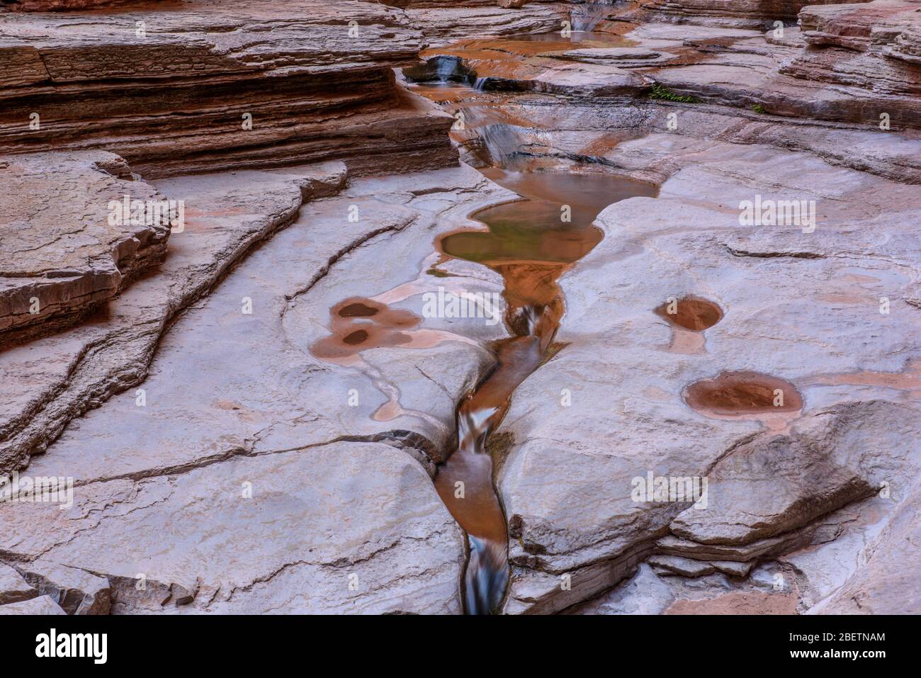 Stream-polished Cambrian Muav Limestone ledges in Matkatamiba Canyon ...