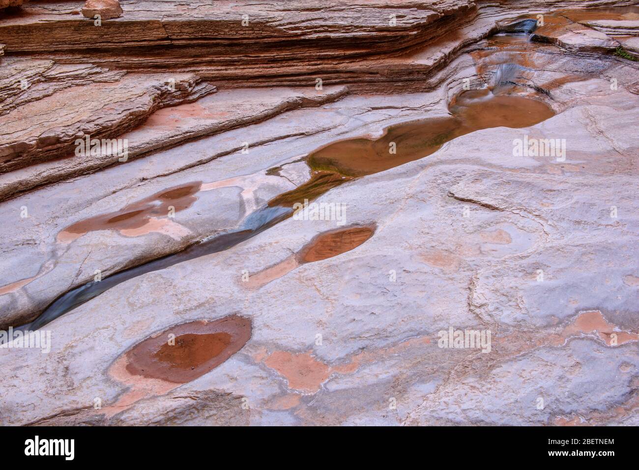 Stream-polished Cambrian Muav Limestone ledges in Matkatamiba Canyon ...