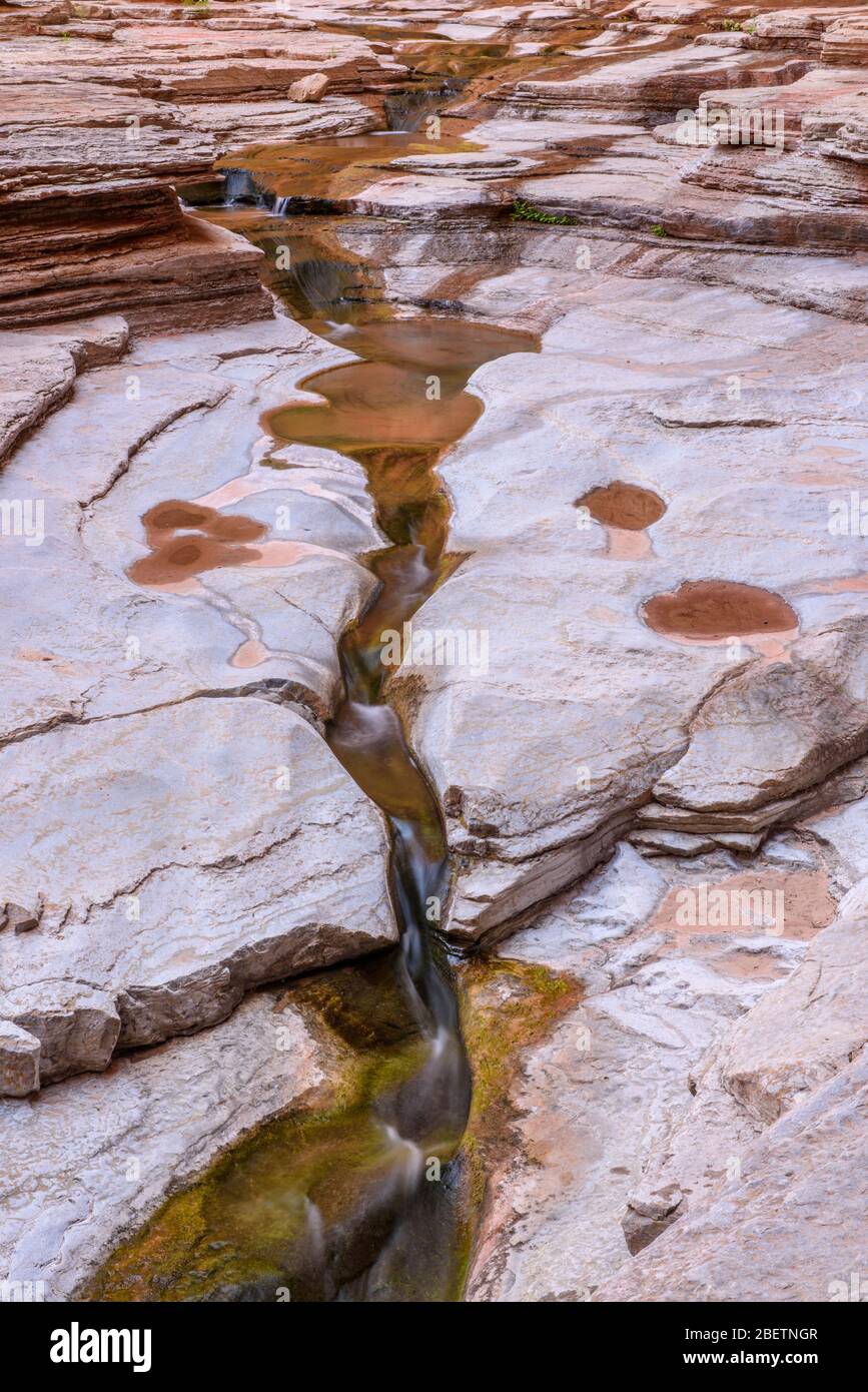 Stream-polished Cambrian Muav Limestone ledges in Matkatamiba Canyon ...