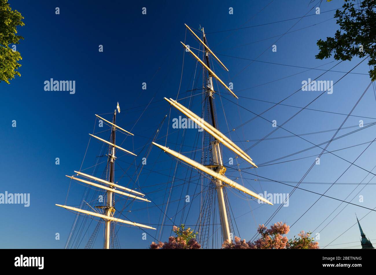 Mast with shroud rope of ship yacht boat with green leaves trees around ...