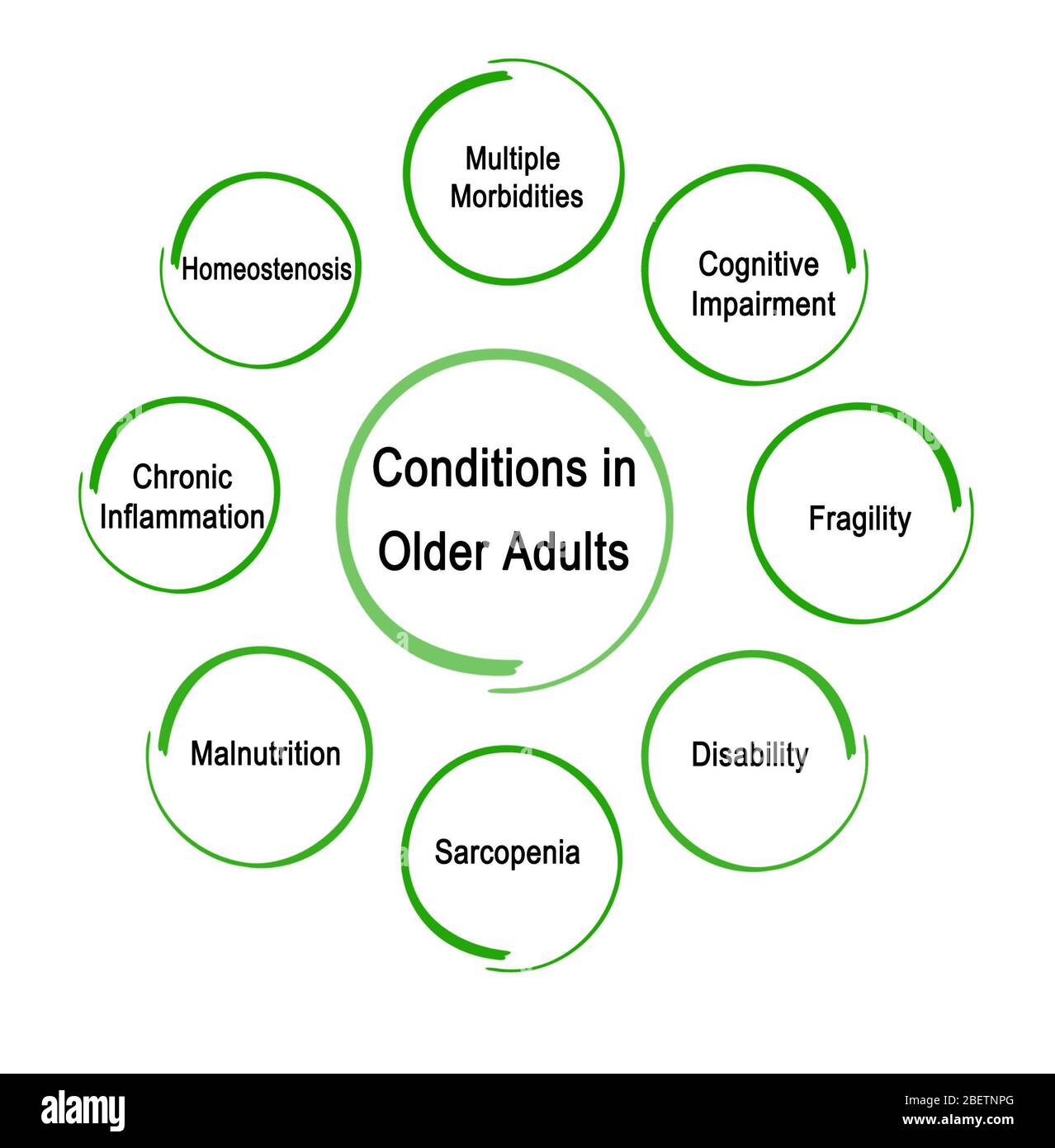 Modifiable hi-res stock photography and images - Alamy