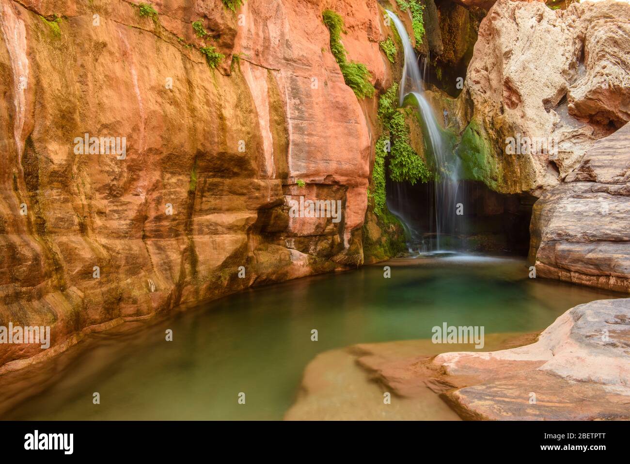 Elves Chasm waterfall, Grand Canyon National Park, Arizona, USA Stock ...