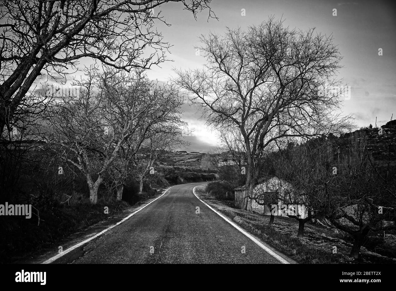 Driving car concept on Black and White Stock Photos & Images - Alamy