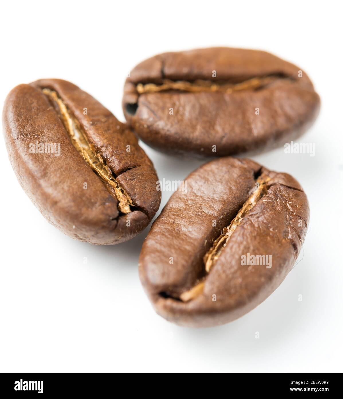 Beautiful fresh roasted coffee beans on a white background Stock Photo ...