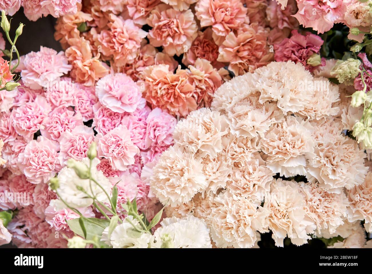 Floral carpet or Wallpaper. Background of mix of flowers. Beautiful ...