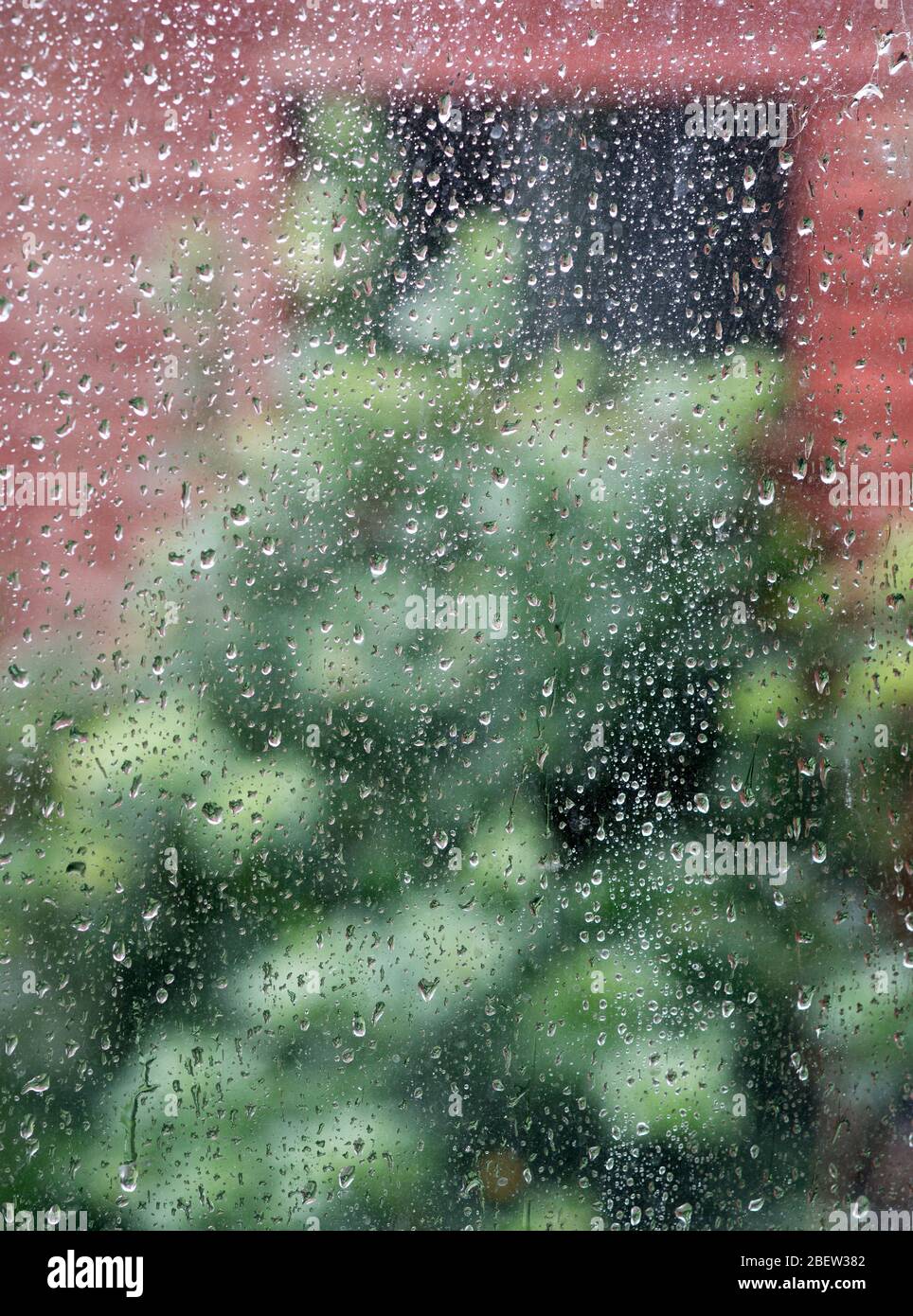 Showing blurred objects in the background,a back yard, after a typical ...
