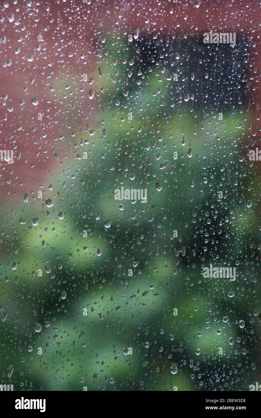 Showing blurred objects in the background,a back yard, after a typical ...