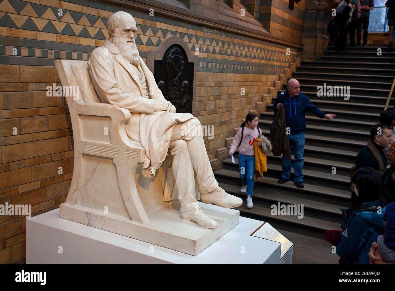 Charles Darwin statue, Natural History Museum, London Stock Photo - Alamy