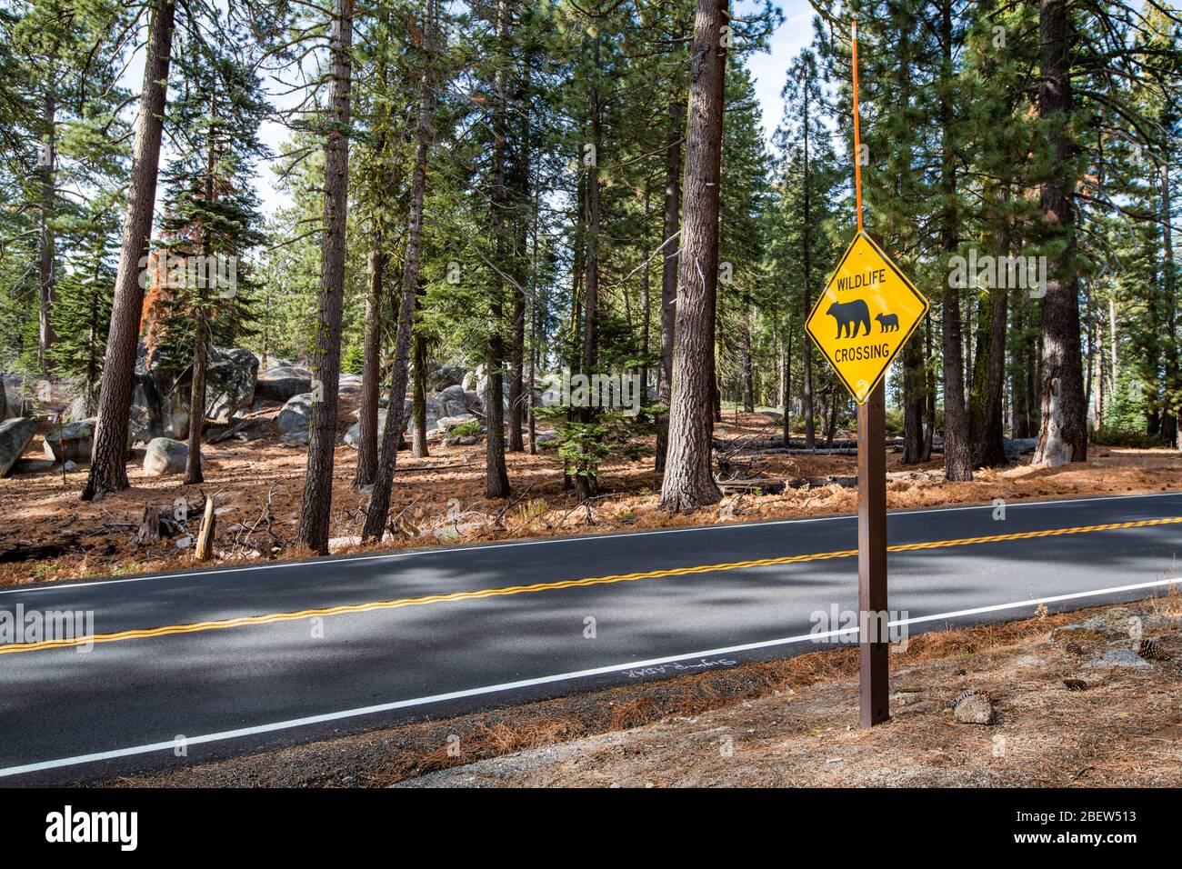 Grizzly bear danger sign on hi-res stock photography and images - Alamy