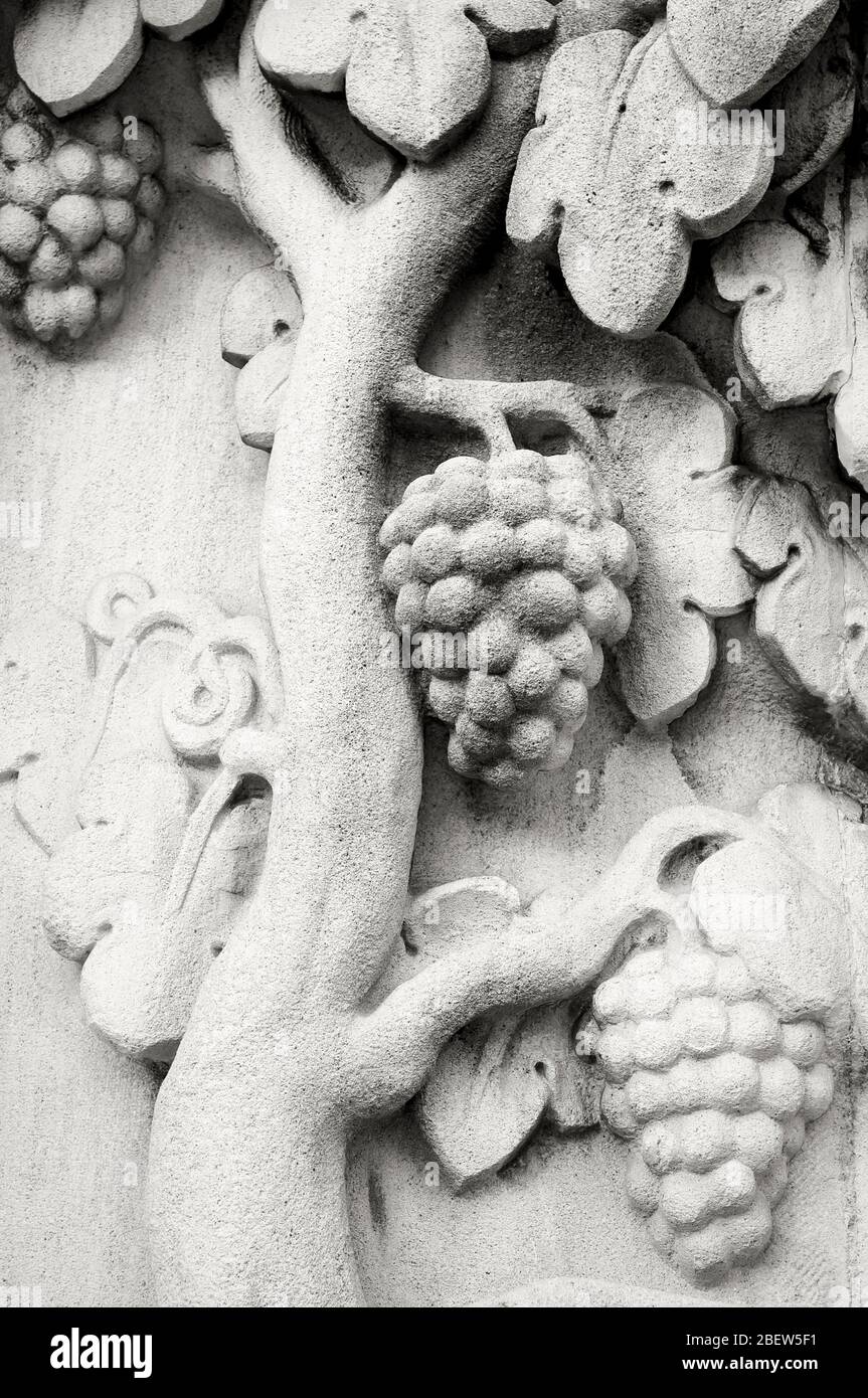 Detailed sculptural relief of grapes on the vine growing up in relief ...