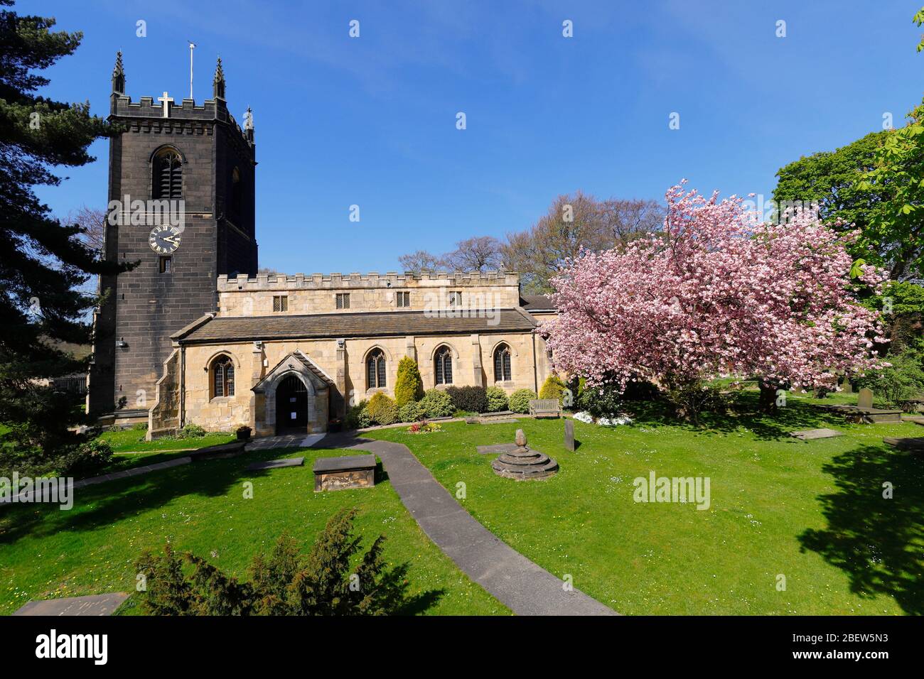 St Mary's Church in Swillington with pink blossom trees Stock Photo - Alamy