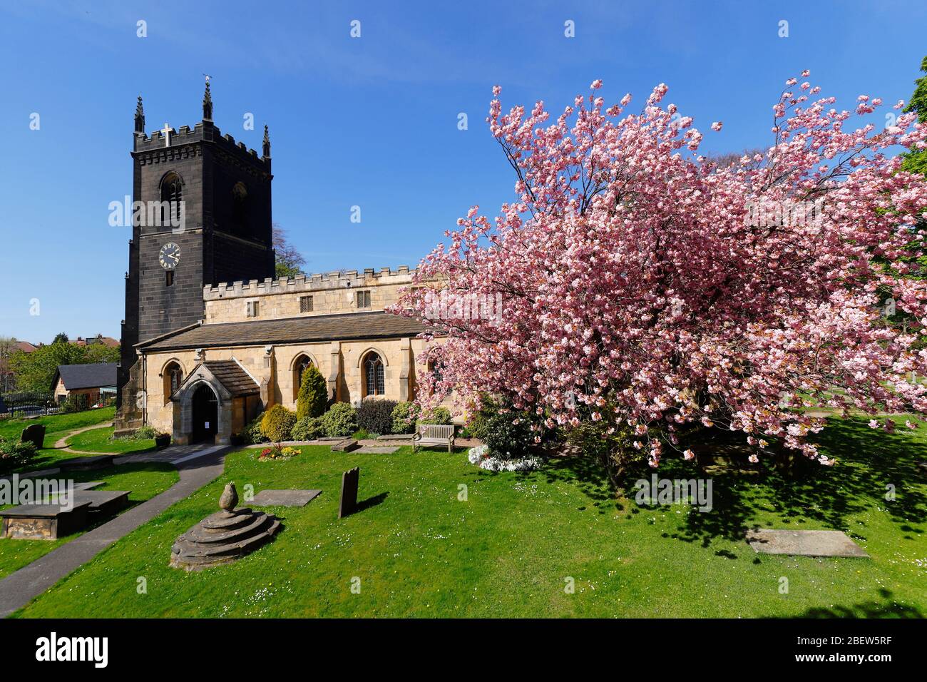 St Mary's Church in Swillington with pink blossom trees Stock Photo - Alamy