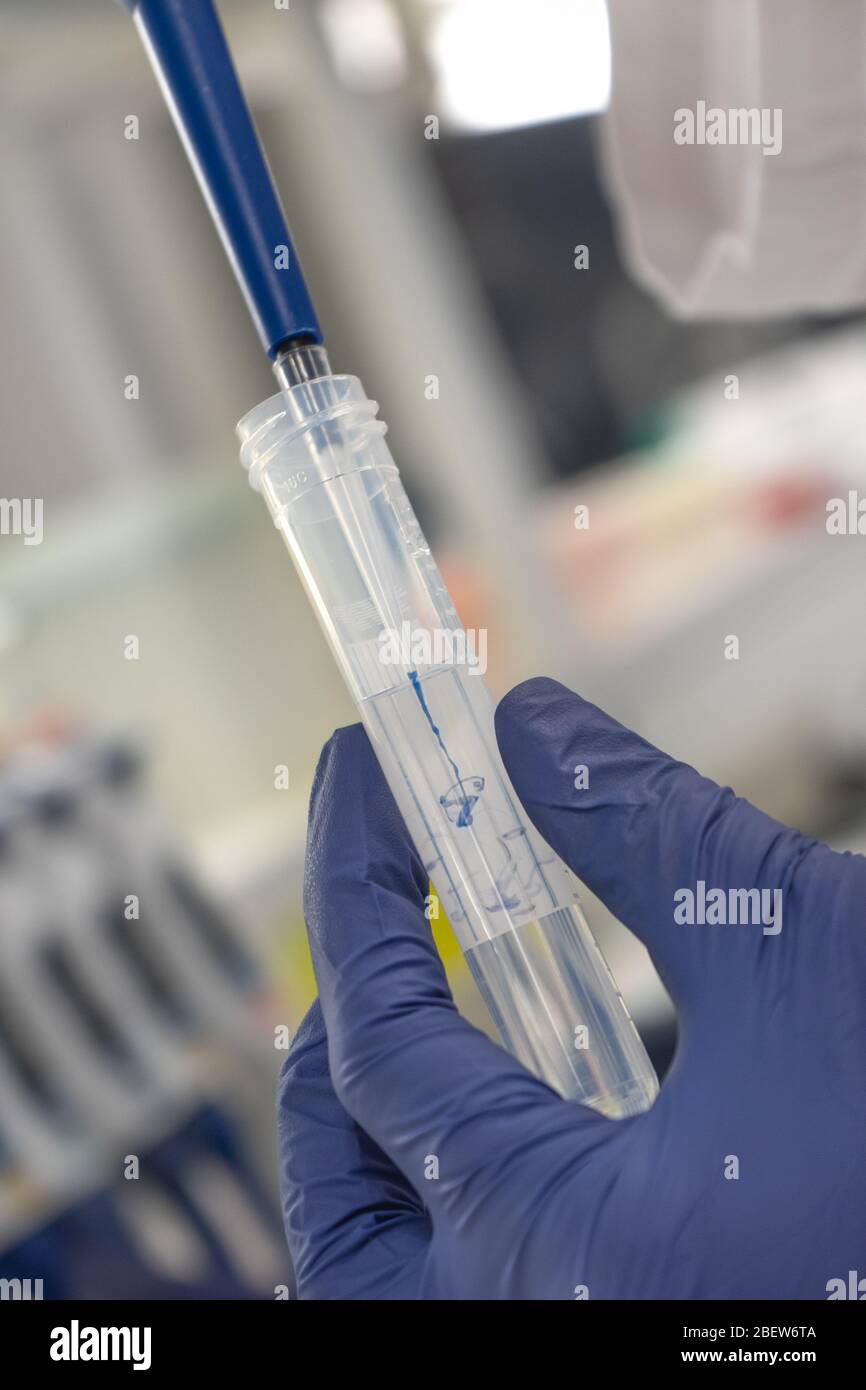 The lab technician performs the experiment by injecting the blue liquid ...