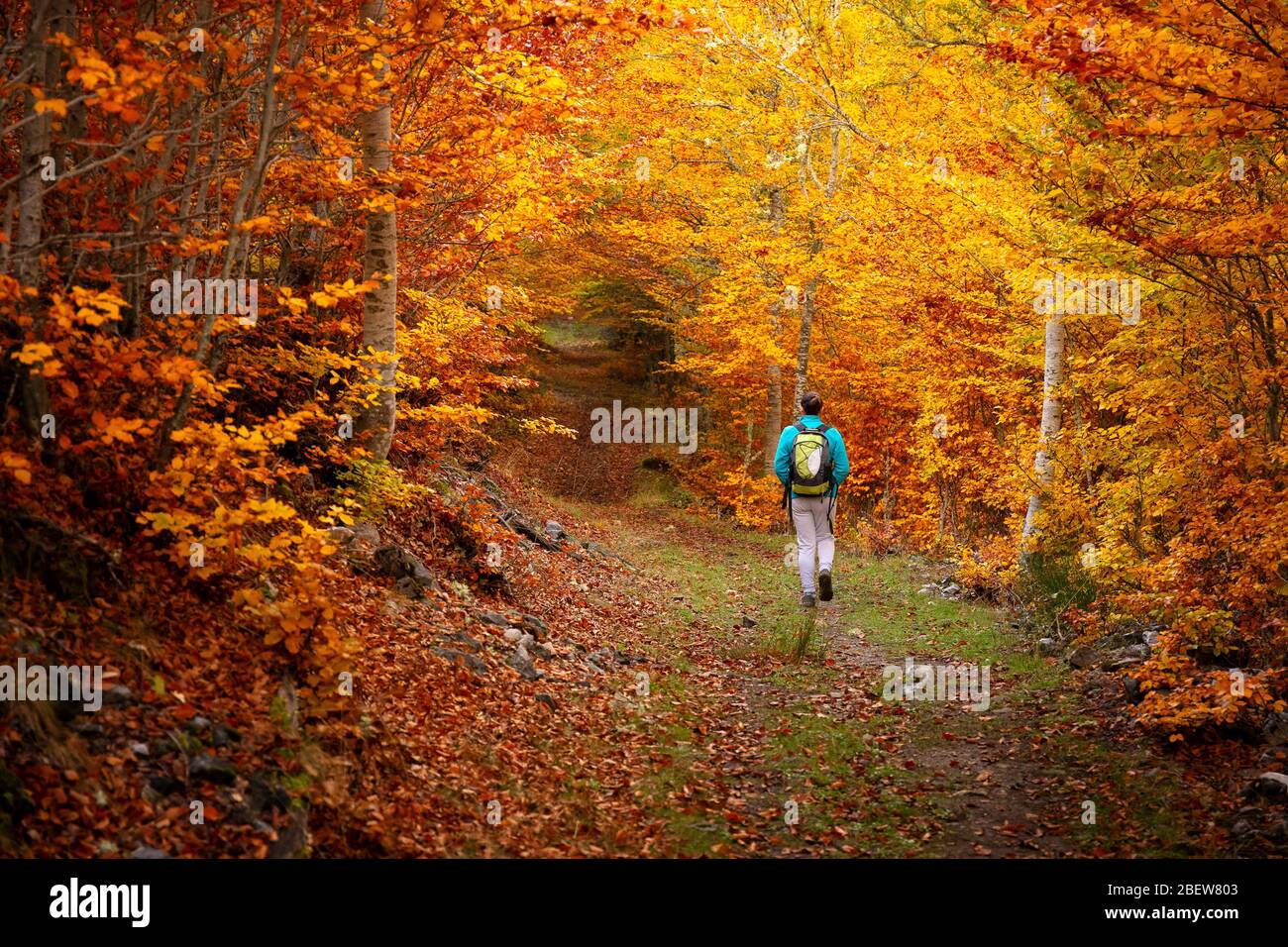 Beautiful walking path hi-res stock photography and images - Alamy